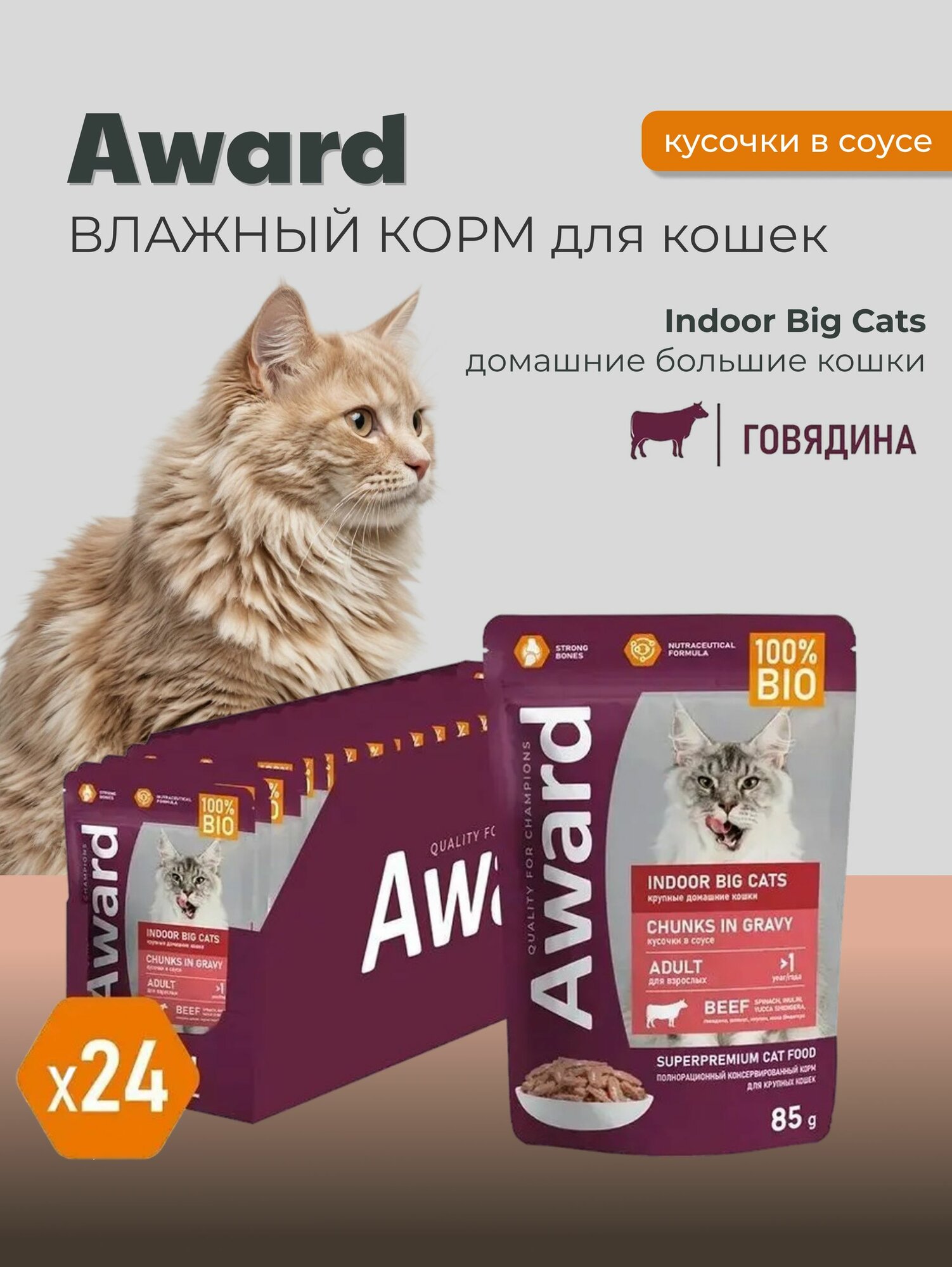 Влажный корм AWARD Indoor big cats для взрослых домашних кошек крупных пород кусочки в соусе с говядиной 85г*24шт