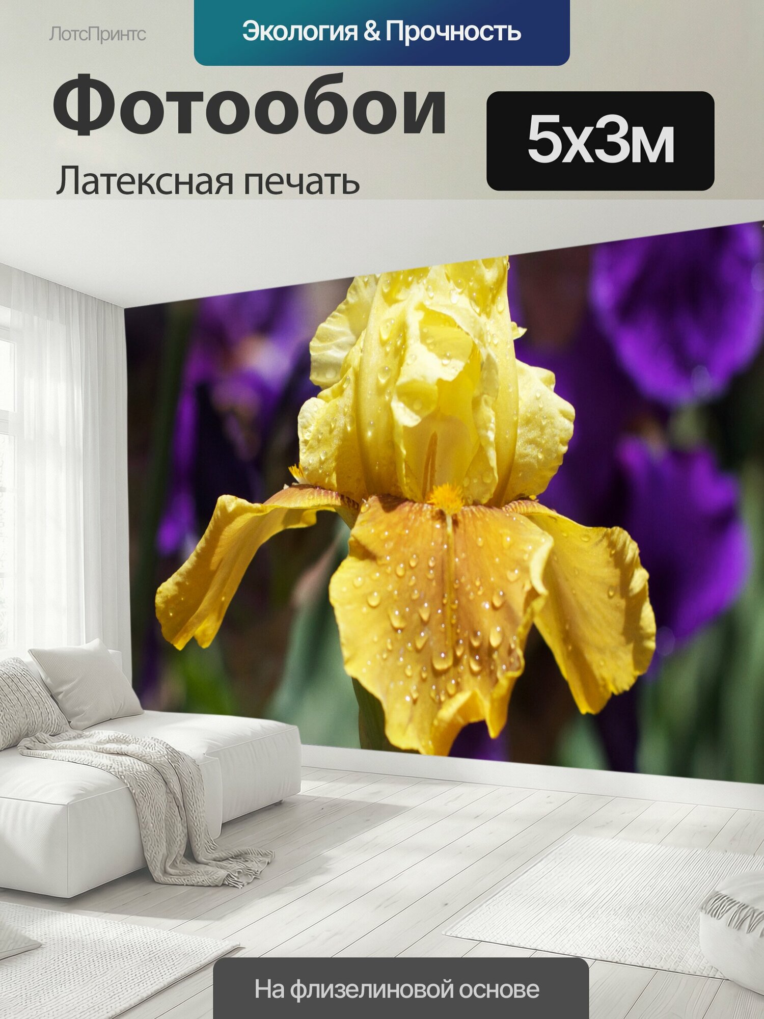 Фотообои моющиеся ударопрочные "Цветок Ирис Желтый Закройте детали красивый цветок желтого ириса цветок Ирис желтый близко подробности лепестки." 500x300 см. латексная печать