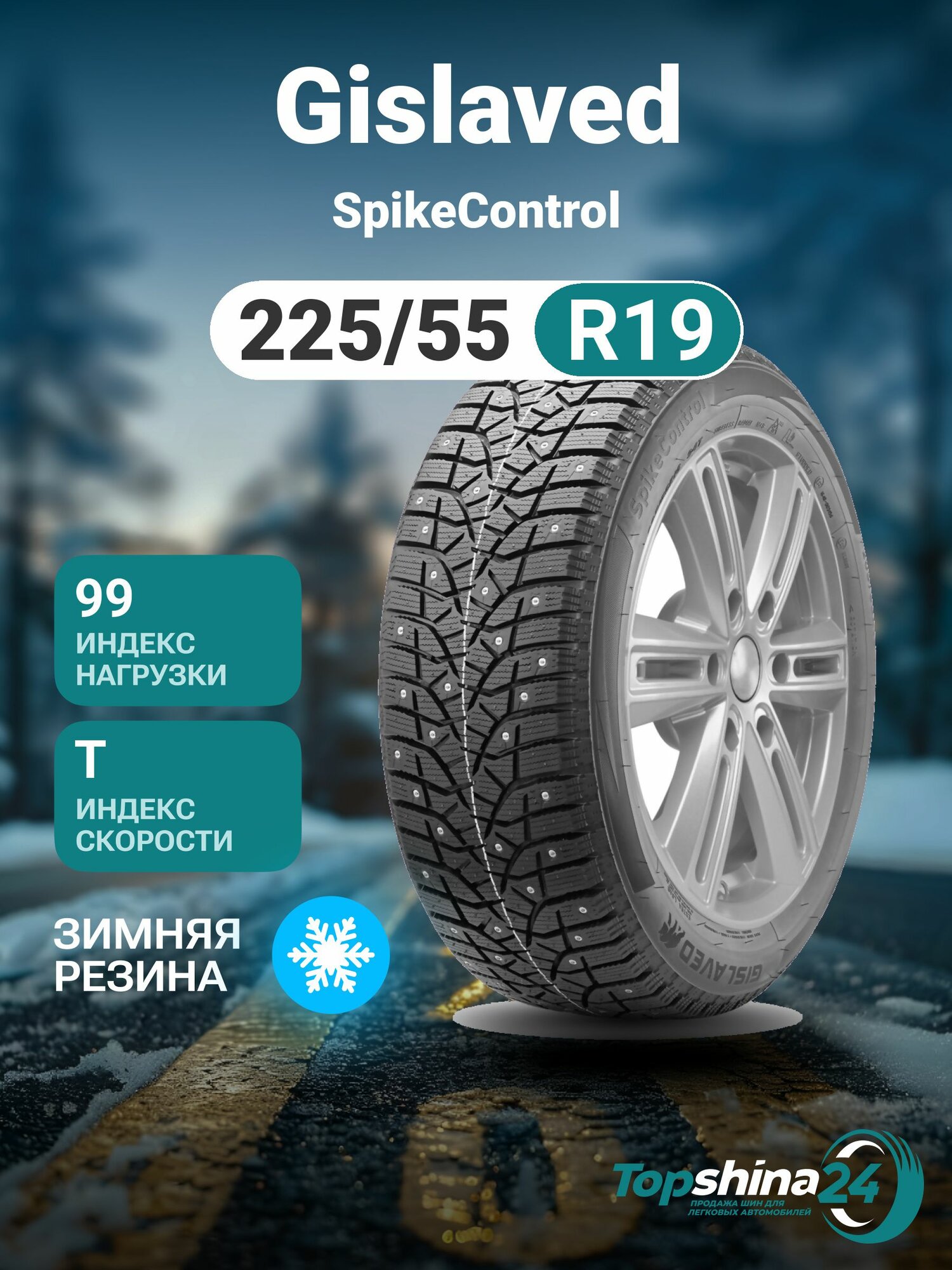 Шины зимние Gislaved SpikeControl 225/55 R19 T99 шип