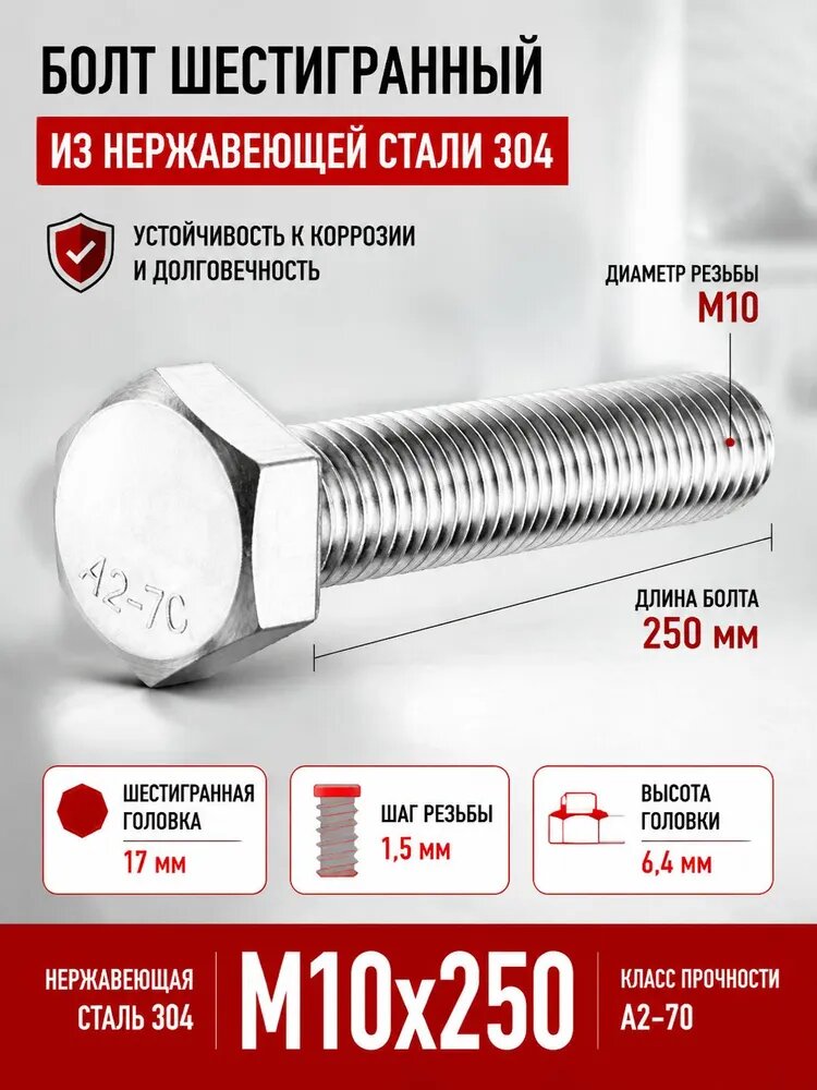 Болт 10 x 250 мм, головка: Шестигранная, 1 шт.