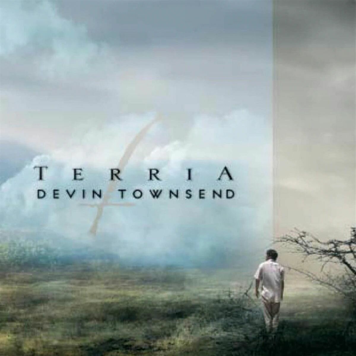 CD диск Devin Townsend - Terria (CD) 2001, Jewel case