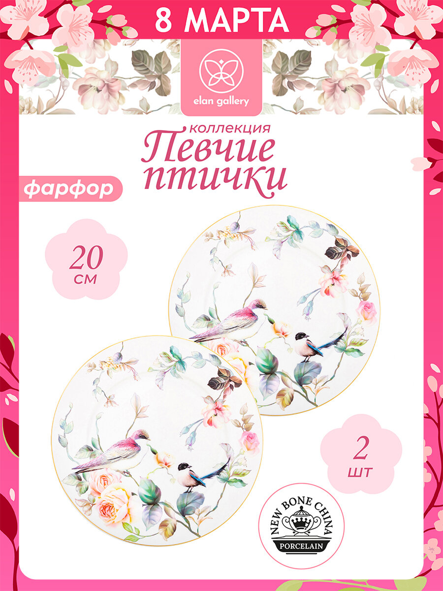 Набор 2 тарелок для закуски 20,5х20,5х1,5 см Elan Gallery Певчие птички
