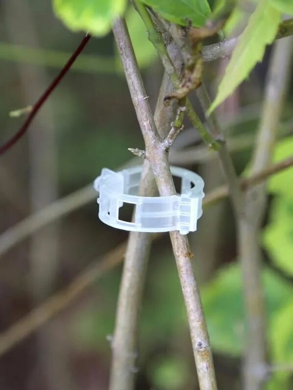 Пластиковые Зажимы-Клипсы для подвязки растений, прозрачные 23мм, 50 шт.