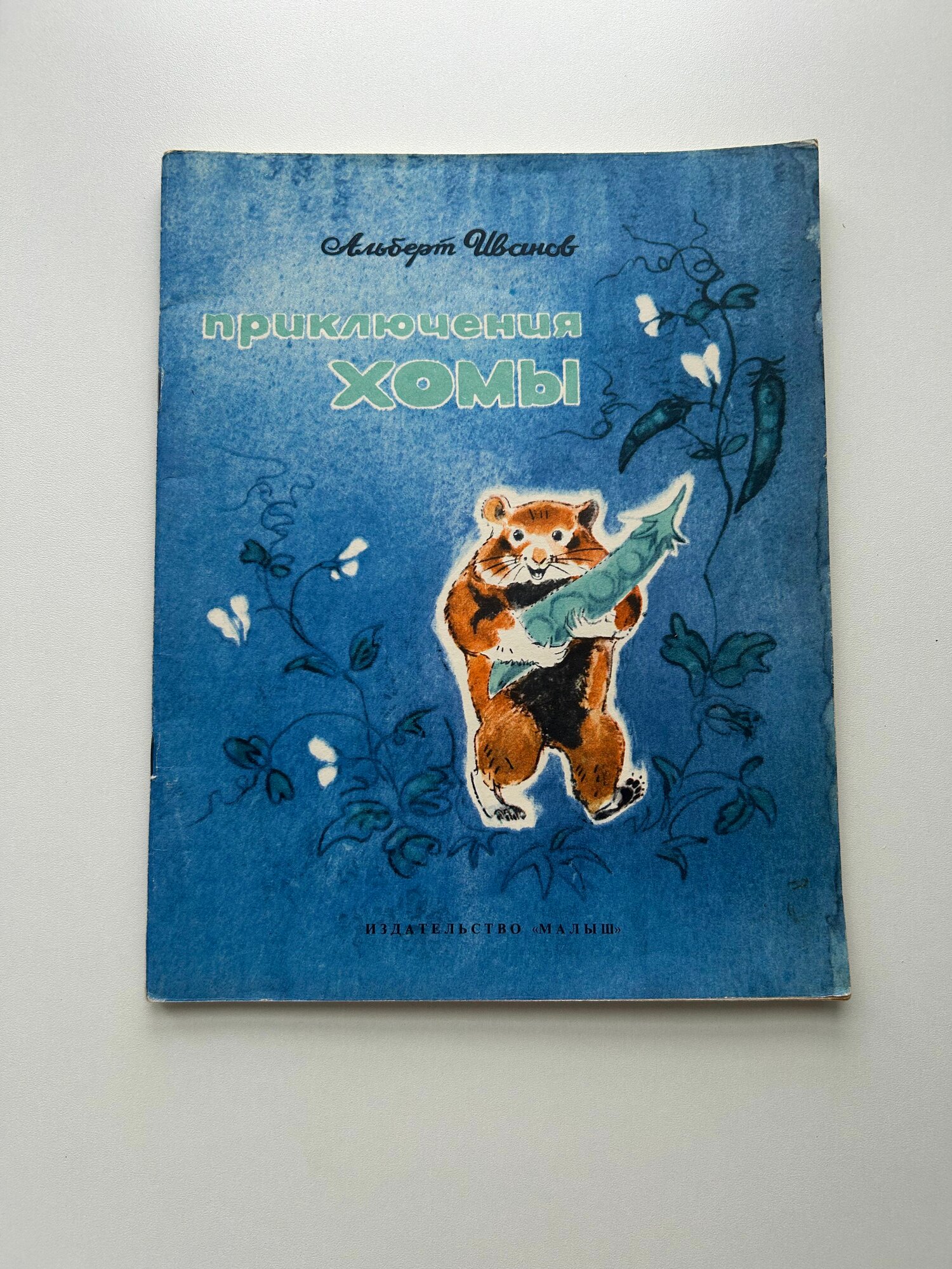 Книга Приключения Хомы. Художник А. Келейников. Издание 1975 года