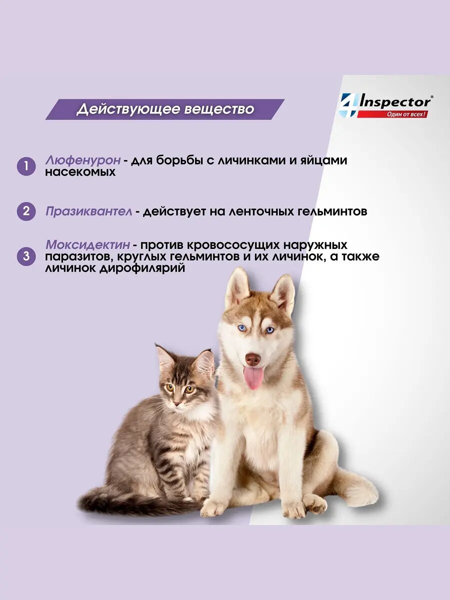Inspector Quadro Tabs таблетки от паразитов для кошек и собак 8-16 кг, 4 таб, фиолетовый — фото 1