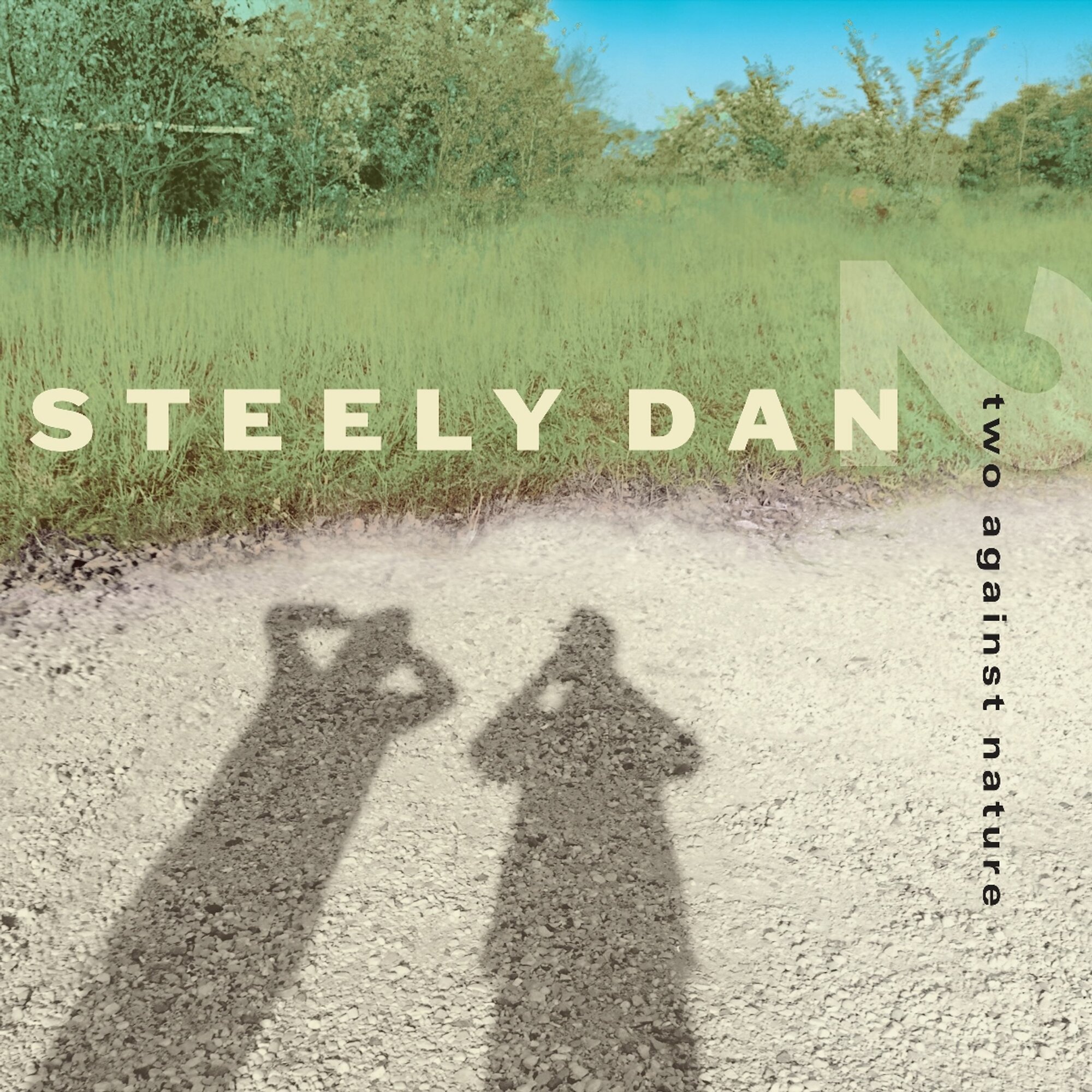 Виниловая пластинка Steely Dan - Two Against Nature (180g) (Crystal Clear Vinyl) (2 LP) (2 LP)