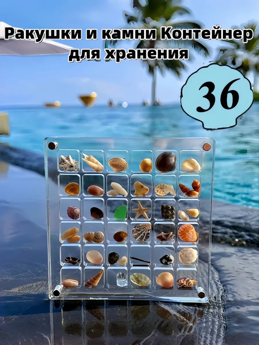 Органайзер для ракушек и камней прозрачный