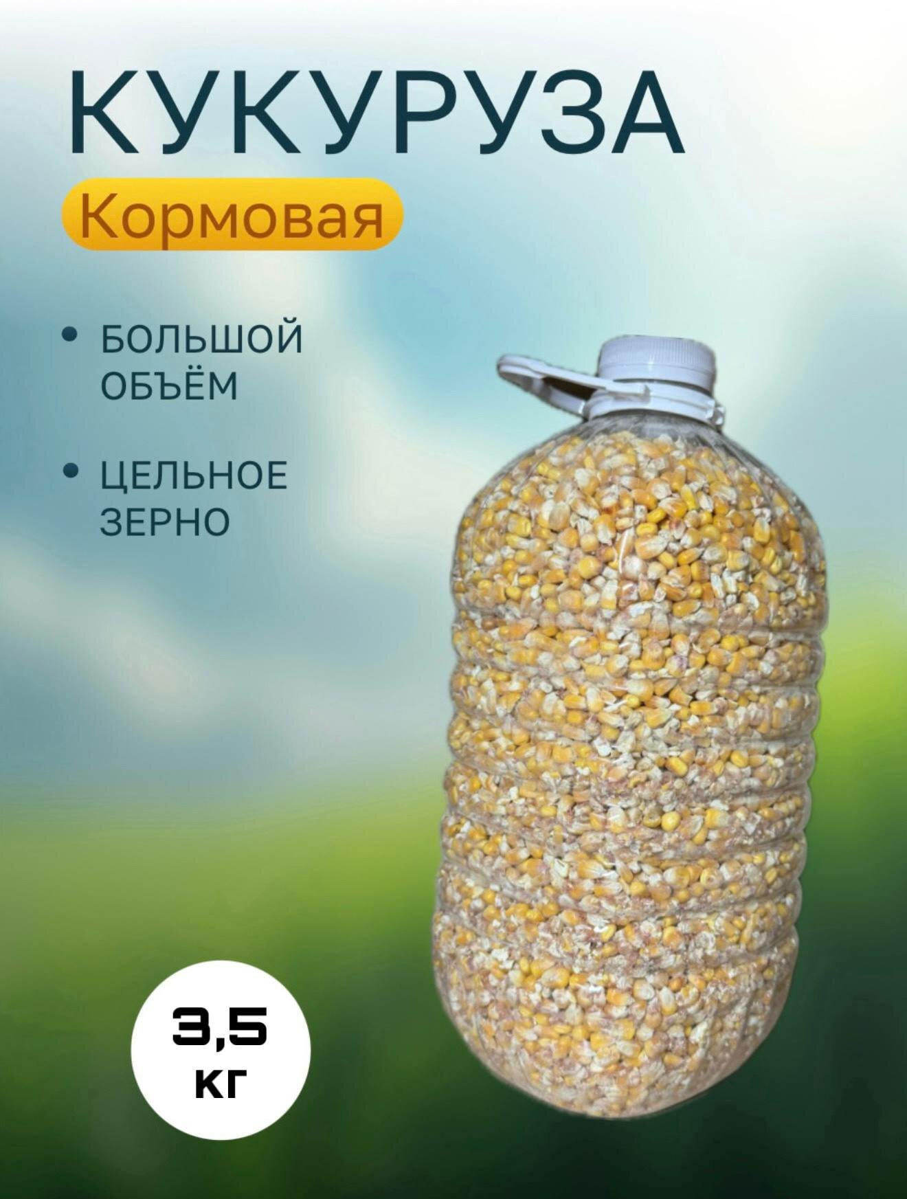 Кукуруза кормовая