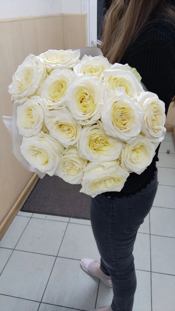 15 белых крупных роз с фруктовым ароматом. Эквадор. Стойкие. Высота 60 см.