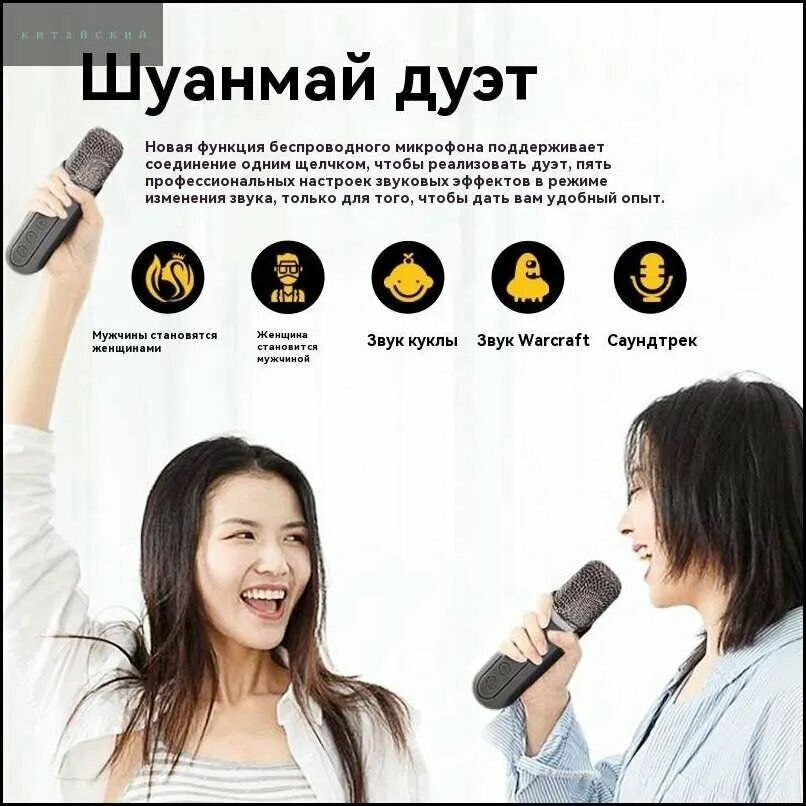 Система караоке