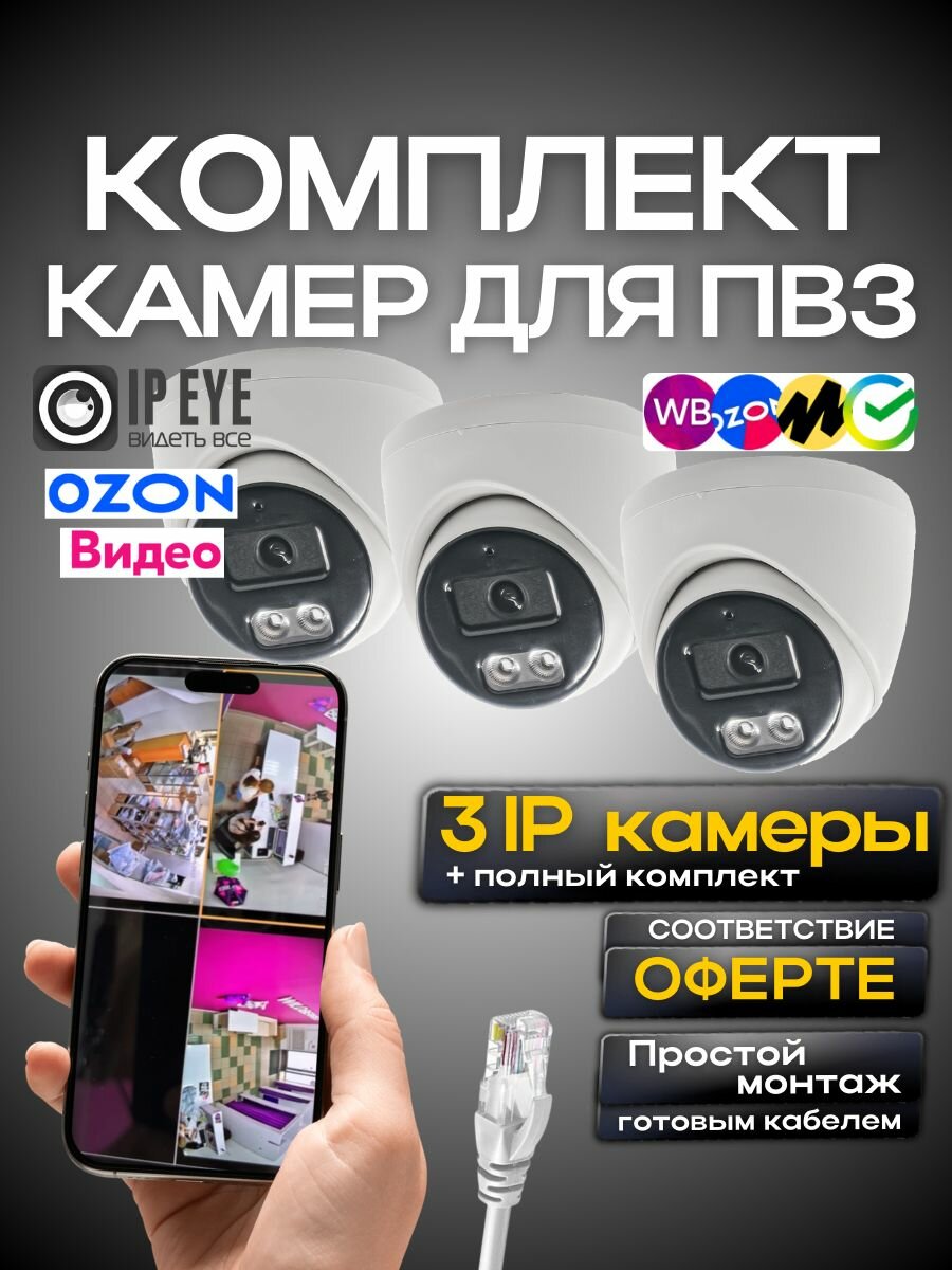 Комплект IP видеонаблюдения для ПВЗ с поддержкой OzonВидео, с записью в облако, 3 камеры