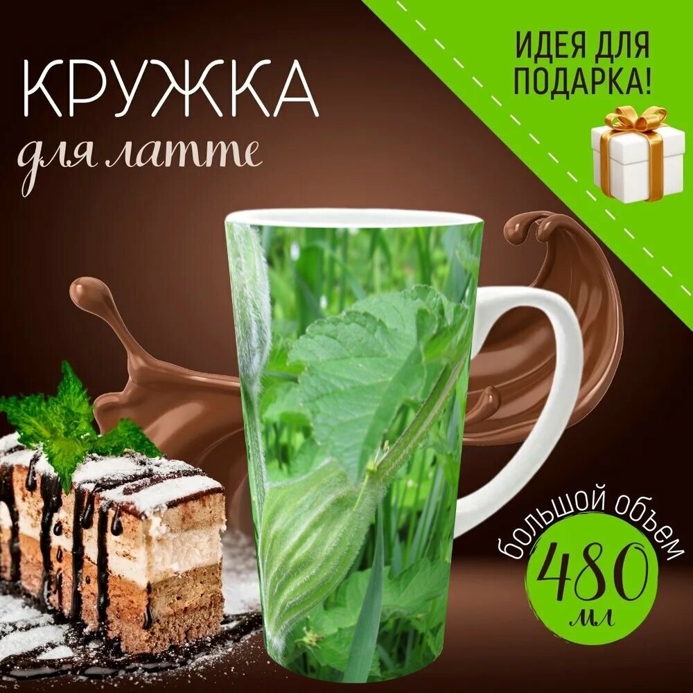 Кружка латте керамическая большая для чая и кофе с прикольным принтом "Heracleum sphondylium, элтрот, борщевик" 500 мл.