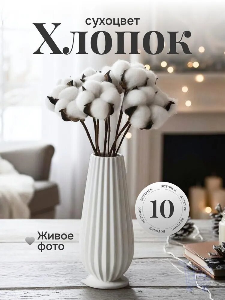 Сухоцветы Хлопок, 100 гр, 1 шт