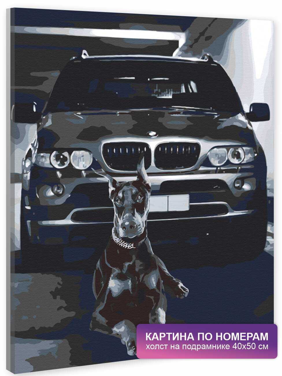Картина по номерам на холсте с подрамником 40х50 см. Природа, животные, рыбы, птицы. Собаки, щенки. "Доберман и БМВ Х5", арт. 4082/