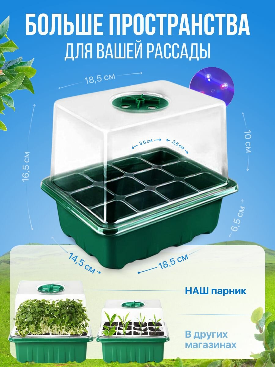 Мини-тепличка — фото 1