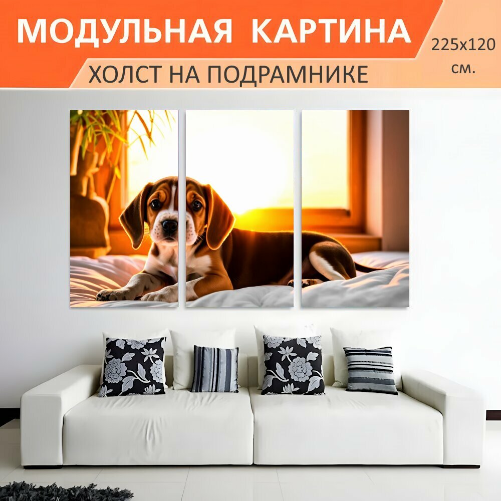 Модульная картина на холсте "Щенок бигля лежит на белой кровати у окна с видом на закат, рядом с растением, в комнате с тёплым освещением." триптих на подрамнике 225х120 см. для интерьера