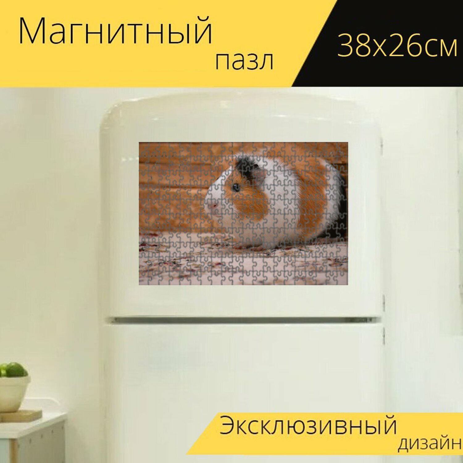 Магнитный пазл "Свинка, морская свинка, питомец" для интерьера, 38х26 см.