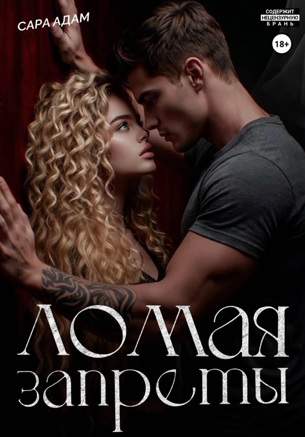 Ломая запреты [Цифровая книга]