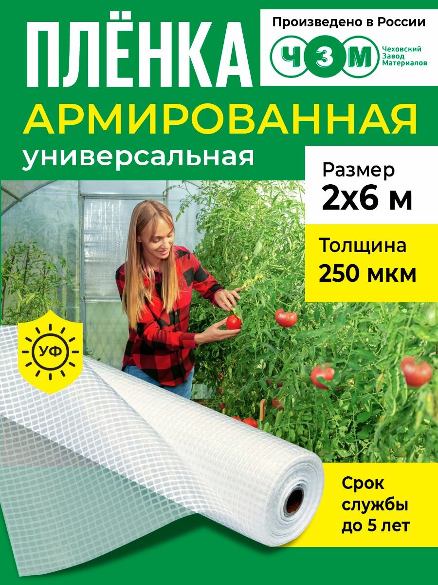 Пленка армированная универсальная 250 мкм, 2х6 м