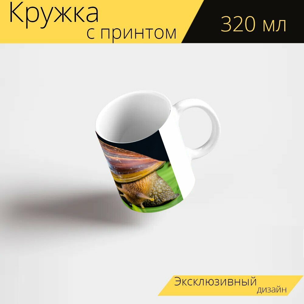 Кружка с рисунком, принтом "Улитка, слизистый, наземная улитка" 320 мл.