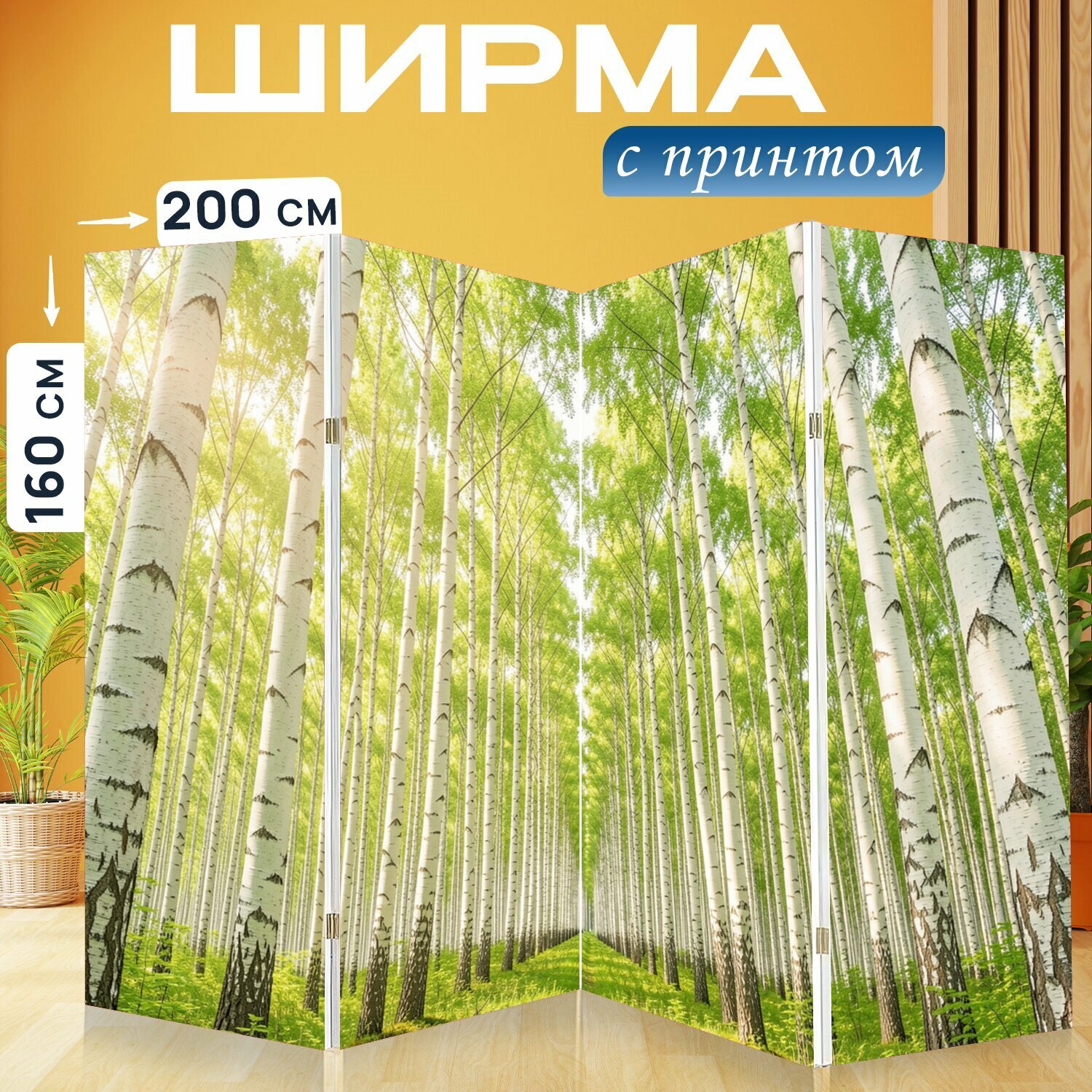 Ширма "Солнечный березовый лес. Панорамный пейзаж с высокими белоствольными деревьями и яркой молодой листвой." перегородка для зонирования комнаты с принтом 200x160 см. на холсте