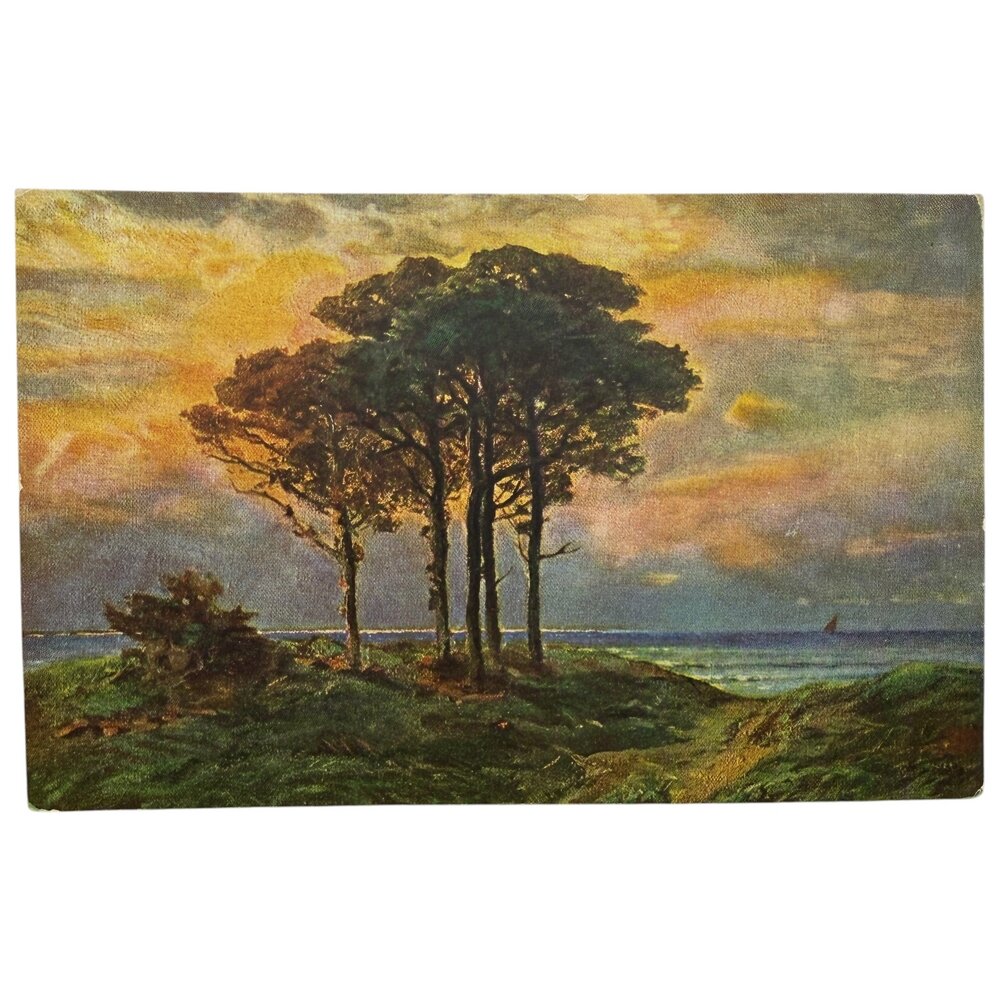 Почтовая открытка "Дубы Моритури" 1900-1910 гг. Германская Империя