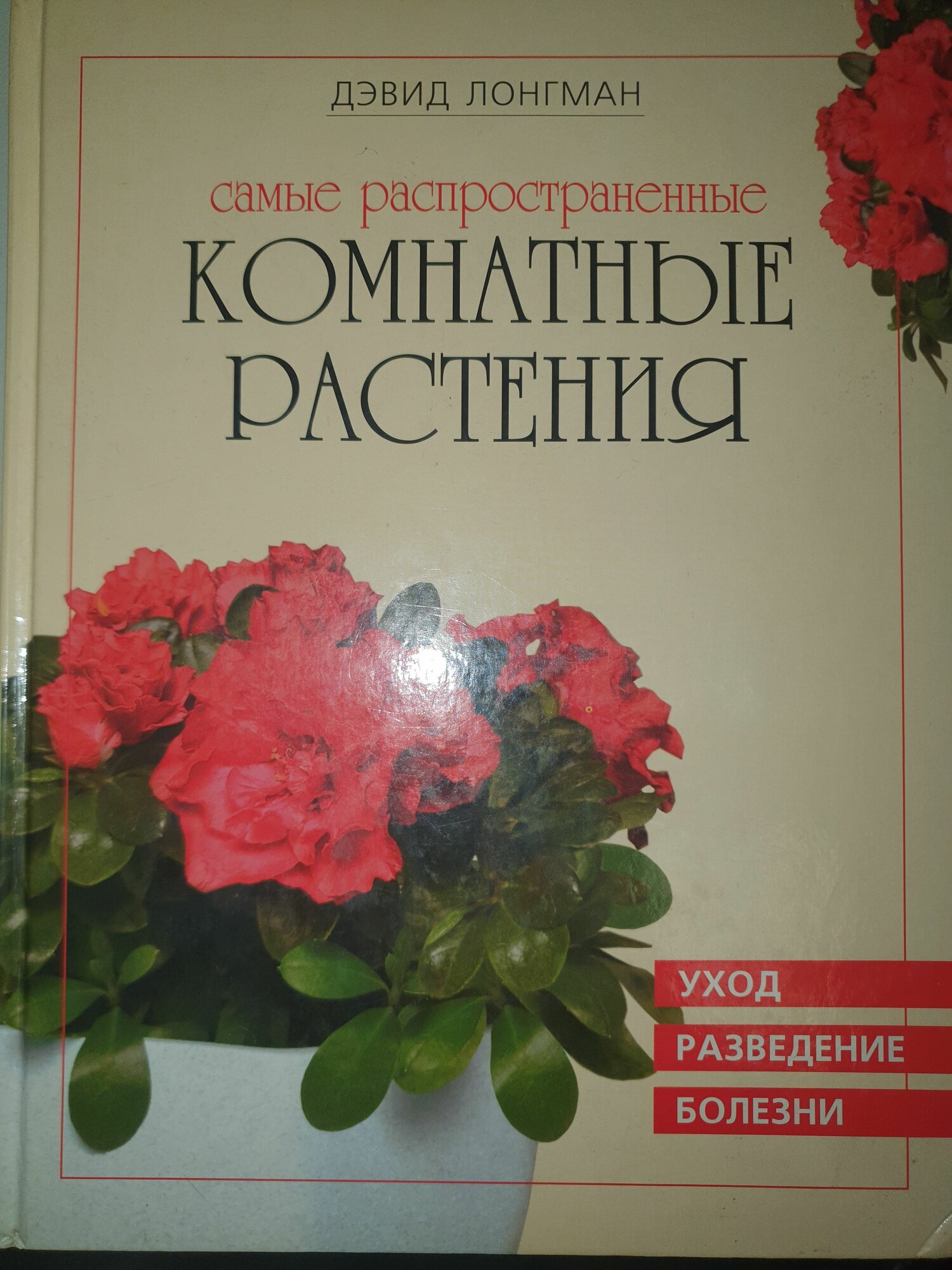 Самые распространенные комнатные растения