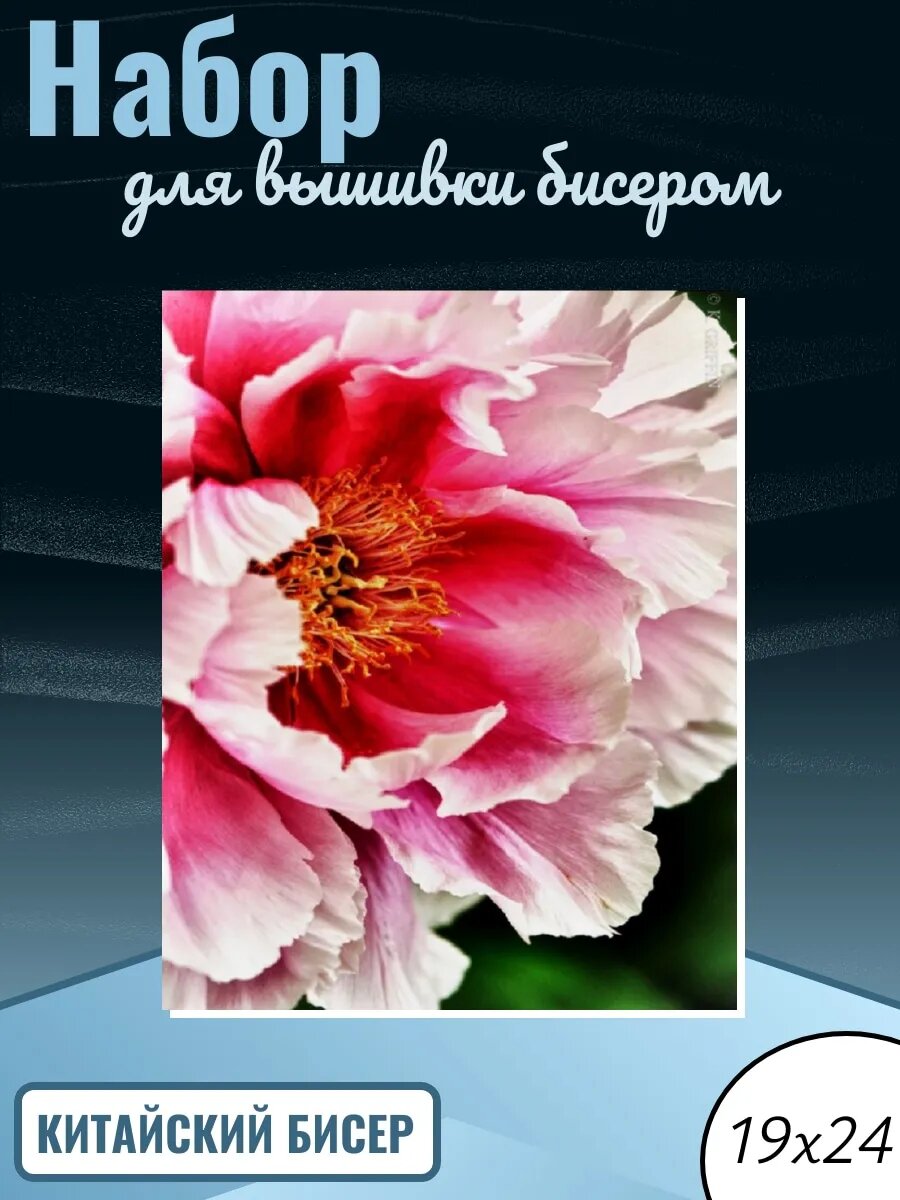 Набор для вышивки бисером Вышивочка "Нежный пион", 19x24 см, полукрест, розовая