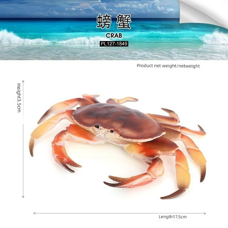 Модель краба для обучения детей, твердая игрушка по морским темам, подарок