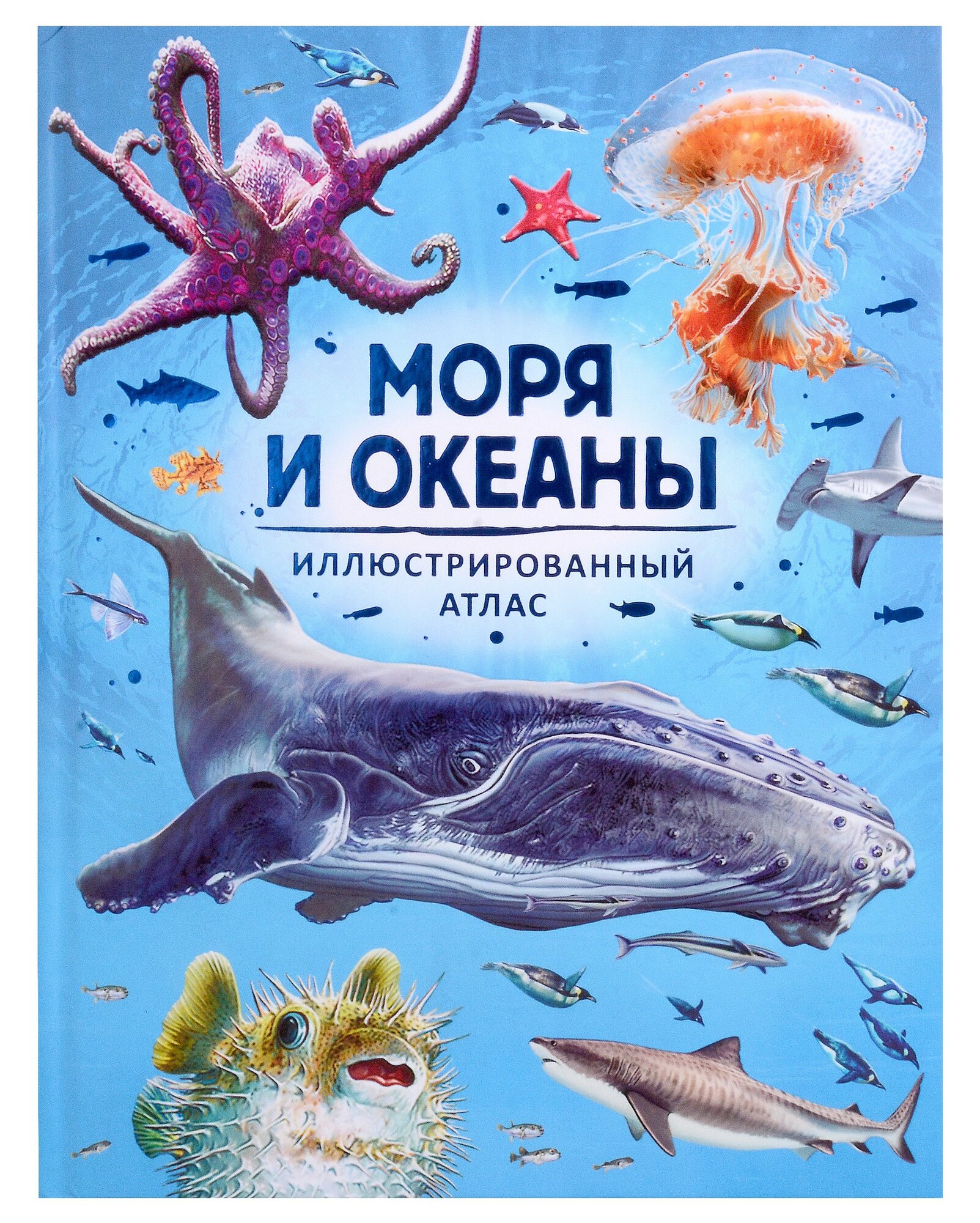 Книга: "Моря и океаны. Иллюстрированный атлас" от Делгадо К, русский язык, Естественные науки