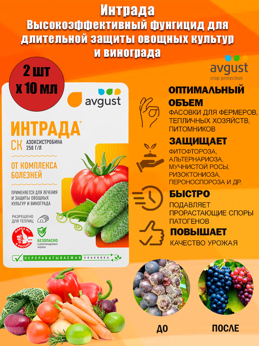 Средство Интрада Avgust от болезней овощей и винограда, 10 мл