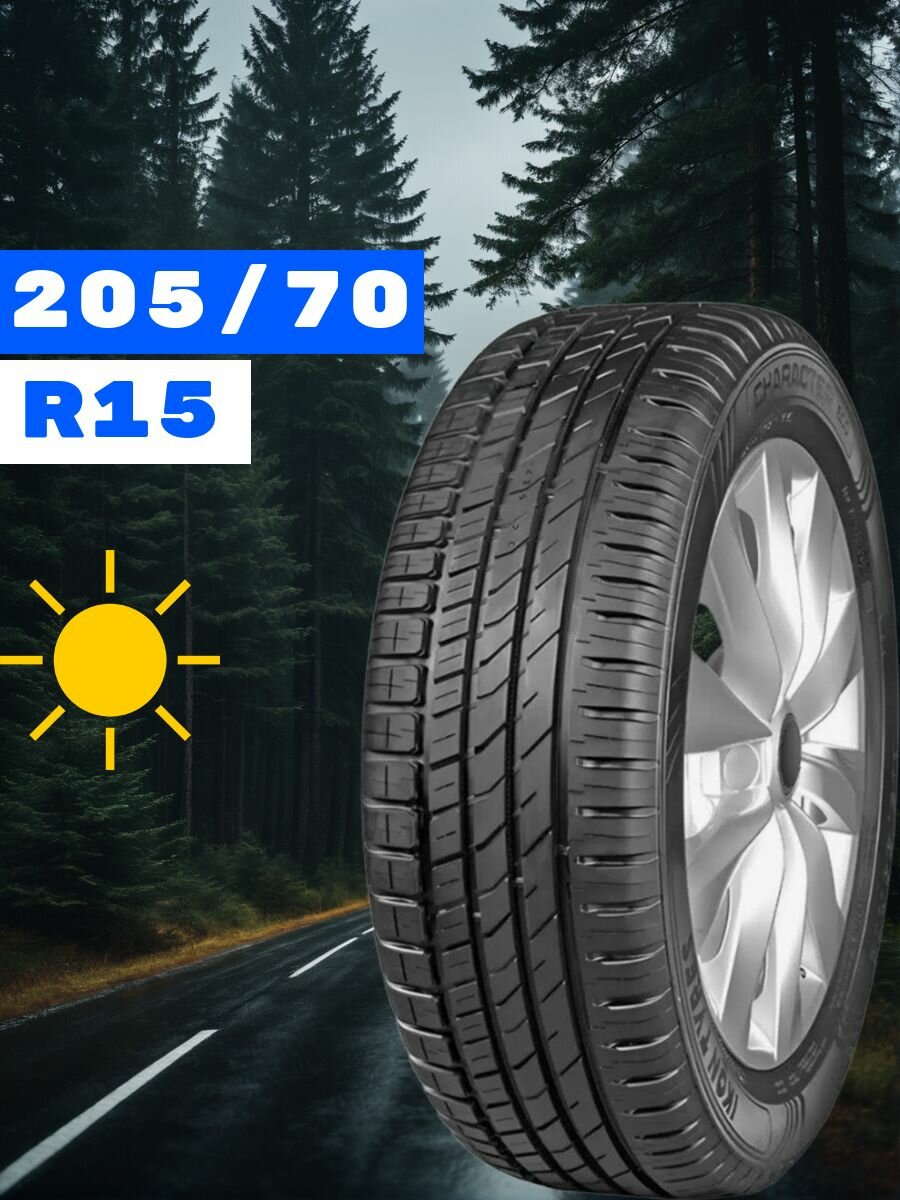 Автошина 205/70R15 96T Character Eco (NORDMAN SX3) IKON TBL