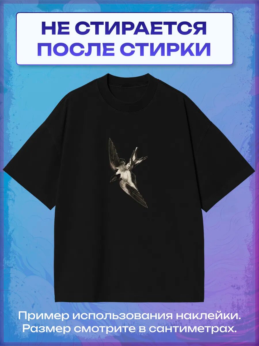 Термонаклейка Птицы — фото 1