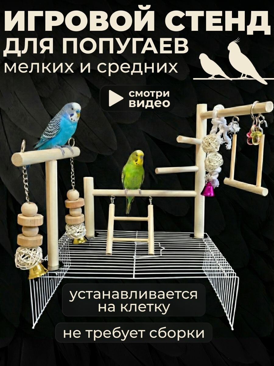 Игровой стенд комплекс площадка для попугаев птиц