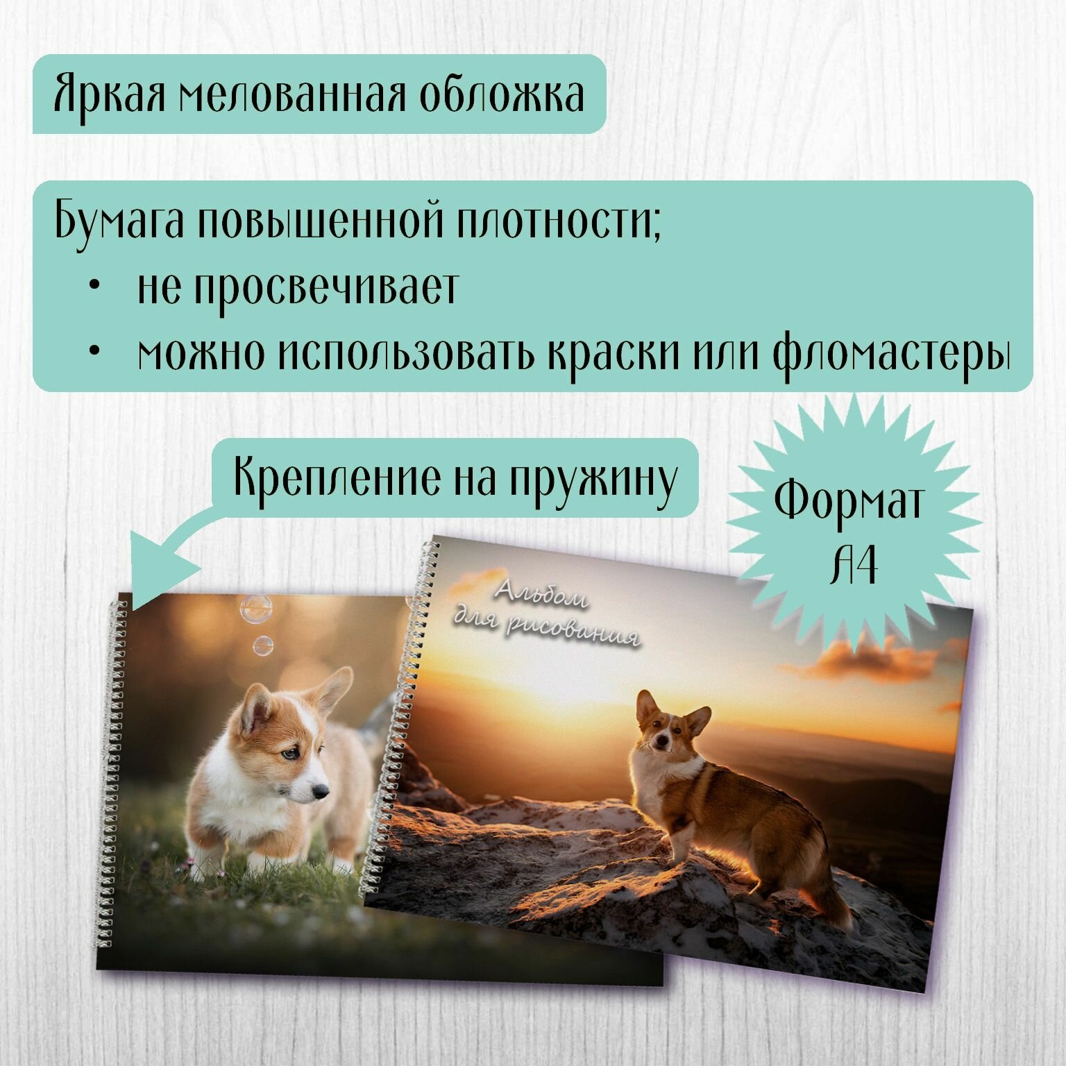 Альбомы для рисования Корги — фото 1