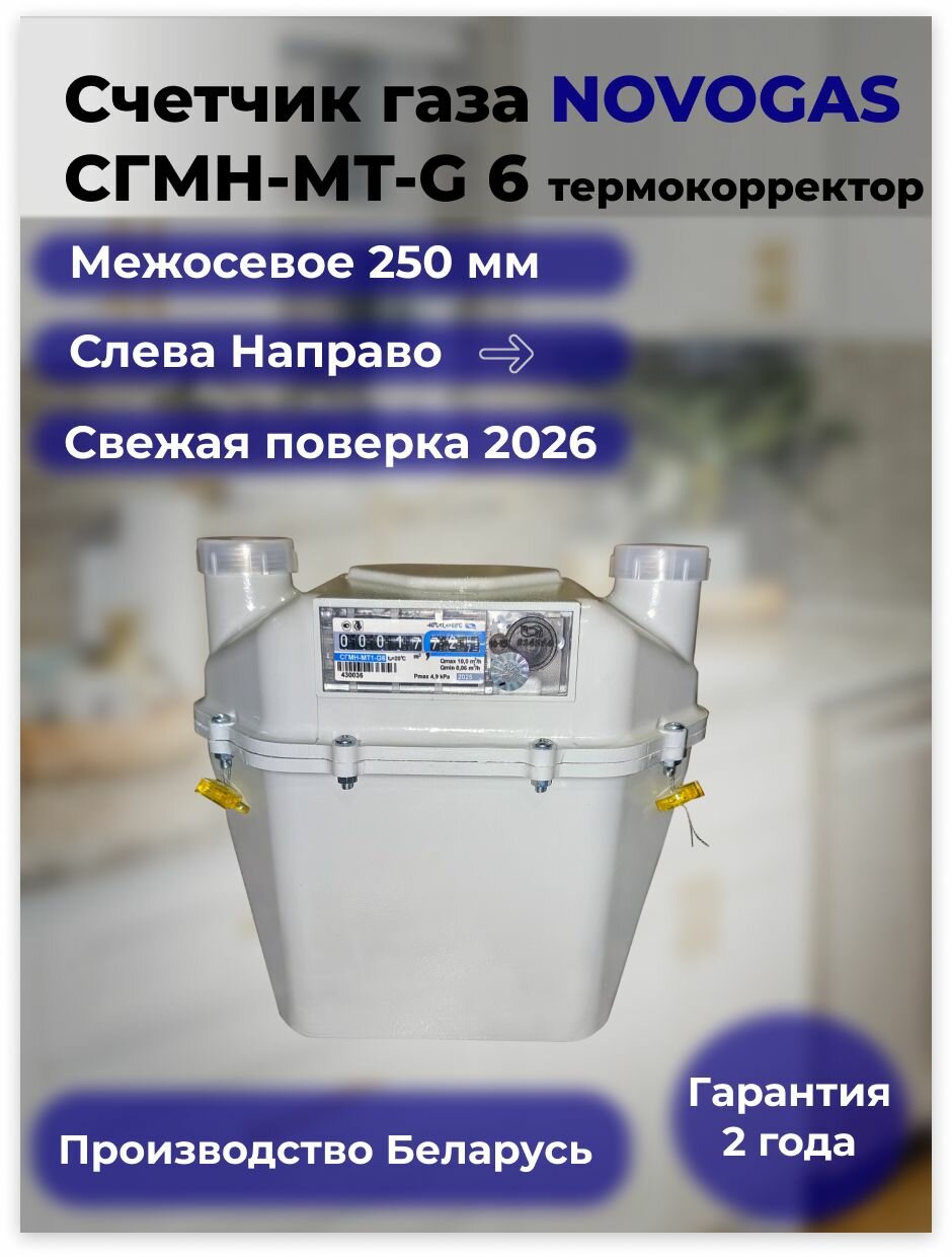 Счетчик газа NOVOGAS СГМН-МТ-G 6 межосевое 250 мм, левый, термокоррекция 1 1/4" слева направо
