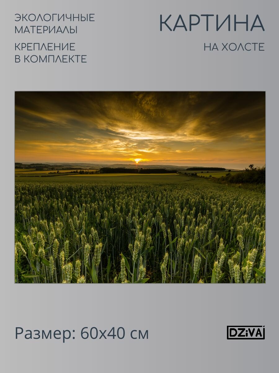 Картина на холсте Поле 60x40 см