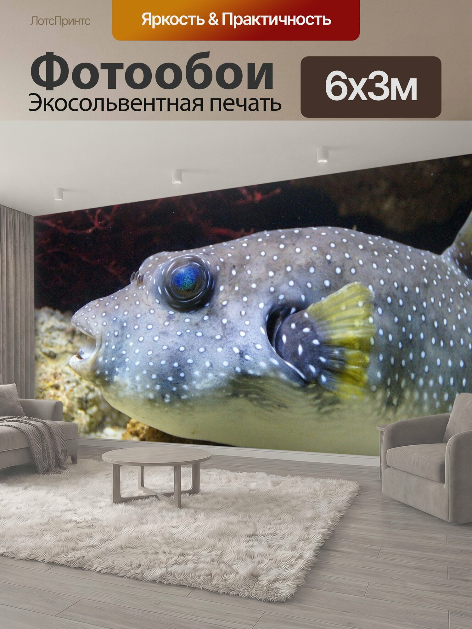 Фотообои "Рыба фугу, boxfish, рыбы" 600x300 см. экосольвентная печать
