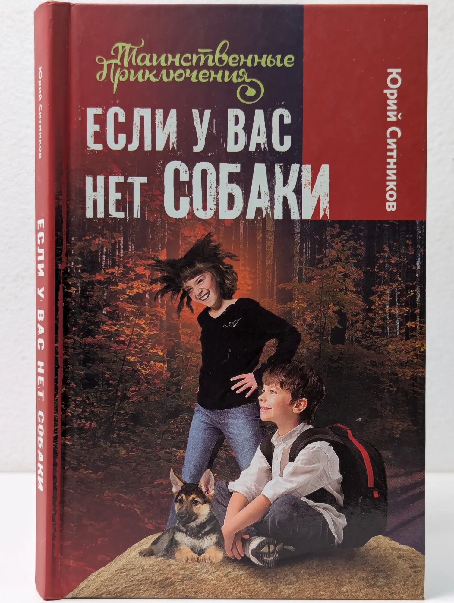 Таинственные приключения. Если у вас нет собаки Ситников Юрий 2014