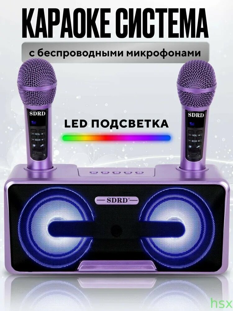 Караоке система для дома SD-301s /фиолетовый/ с двумя микрофонами для взрослых и детей
