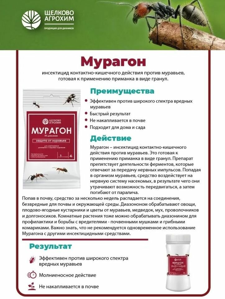Защита от муравьев — фото 1