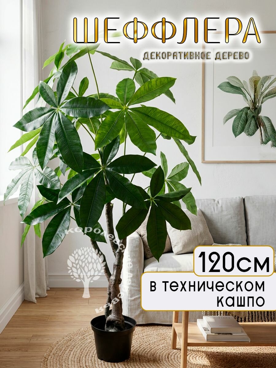 Искусственное дерево Шеффлера в горшке 120 см Королевские деревья