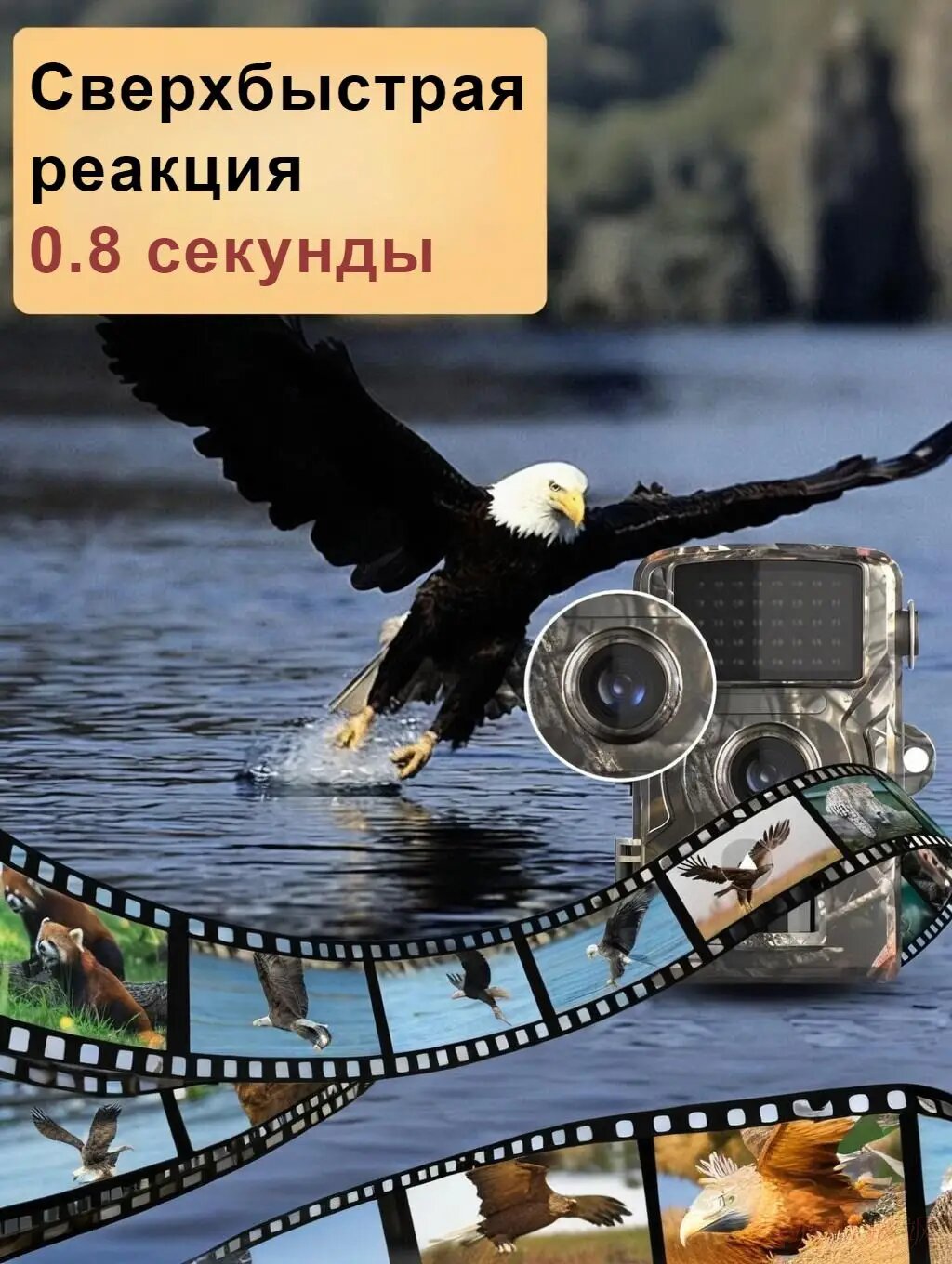 Фотоловушка — фото 1