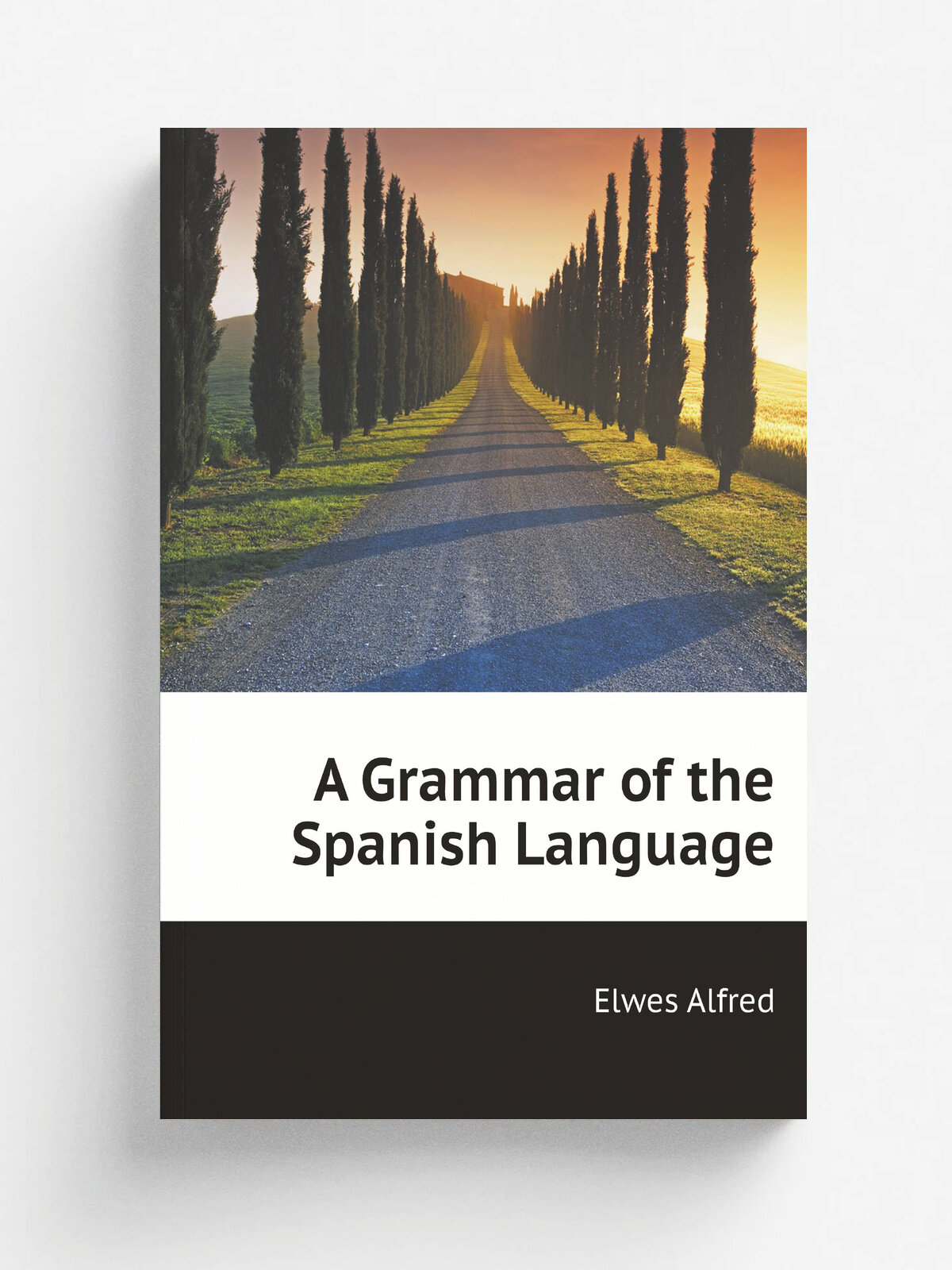 A Grammar of the Spanish Language