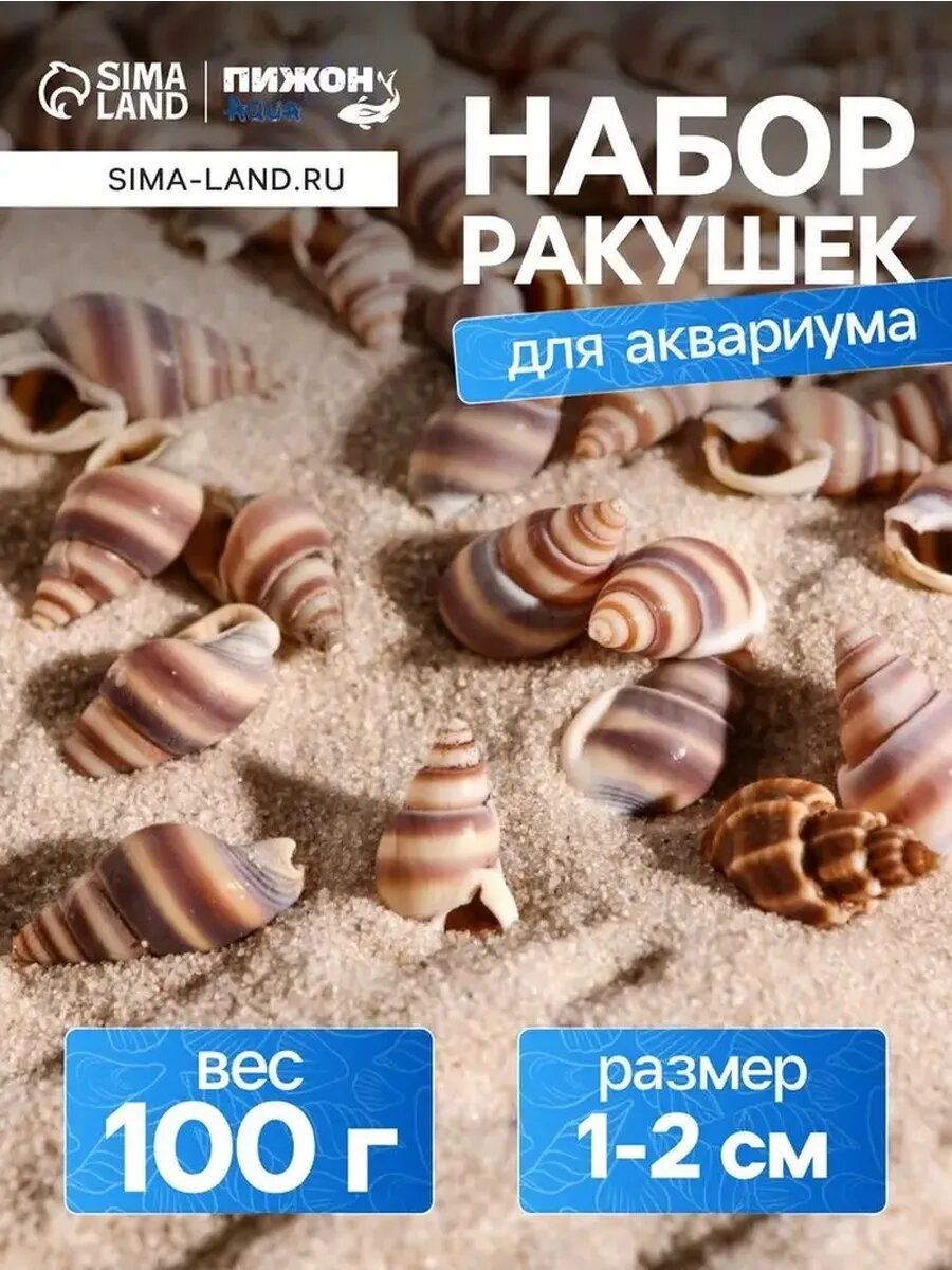 Эстетичный набор ракушек для творчества