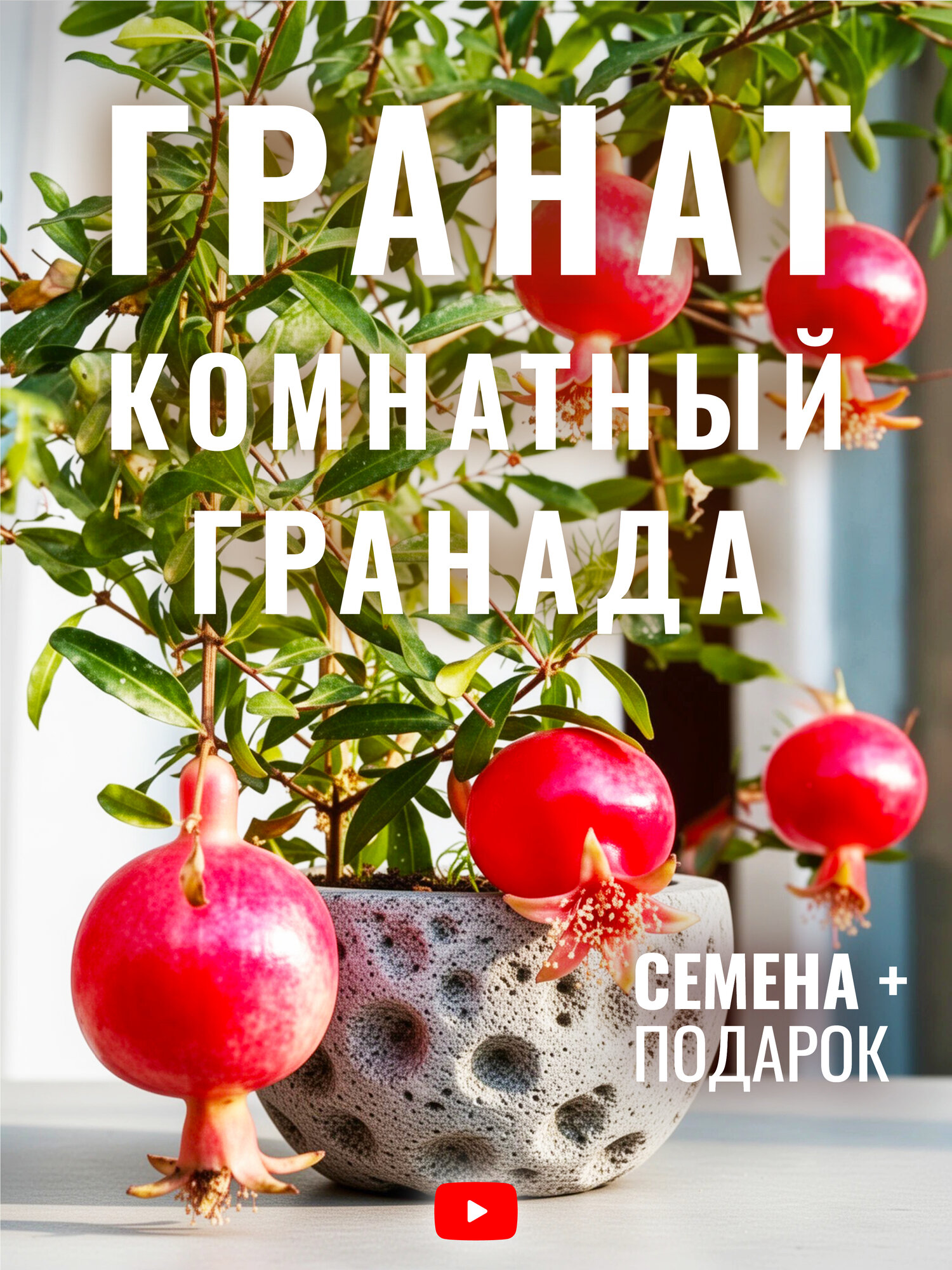Гранат комнатный Гранада, Семена, 5 шт, семена комнатных растений