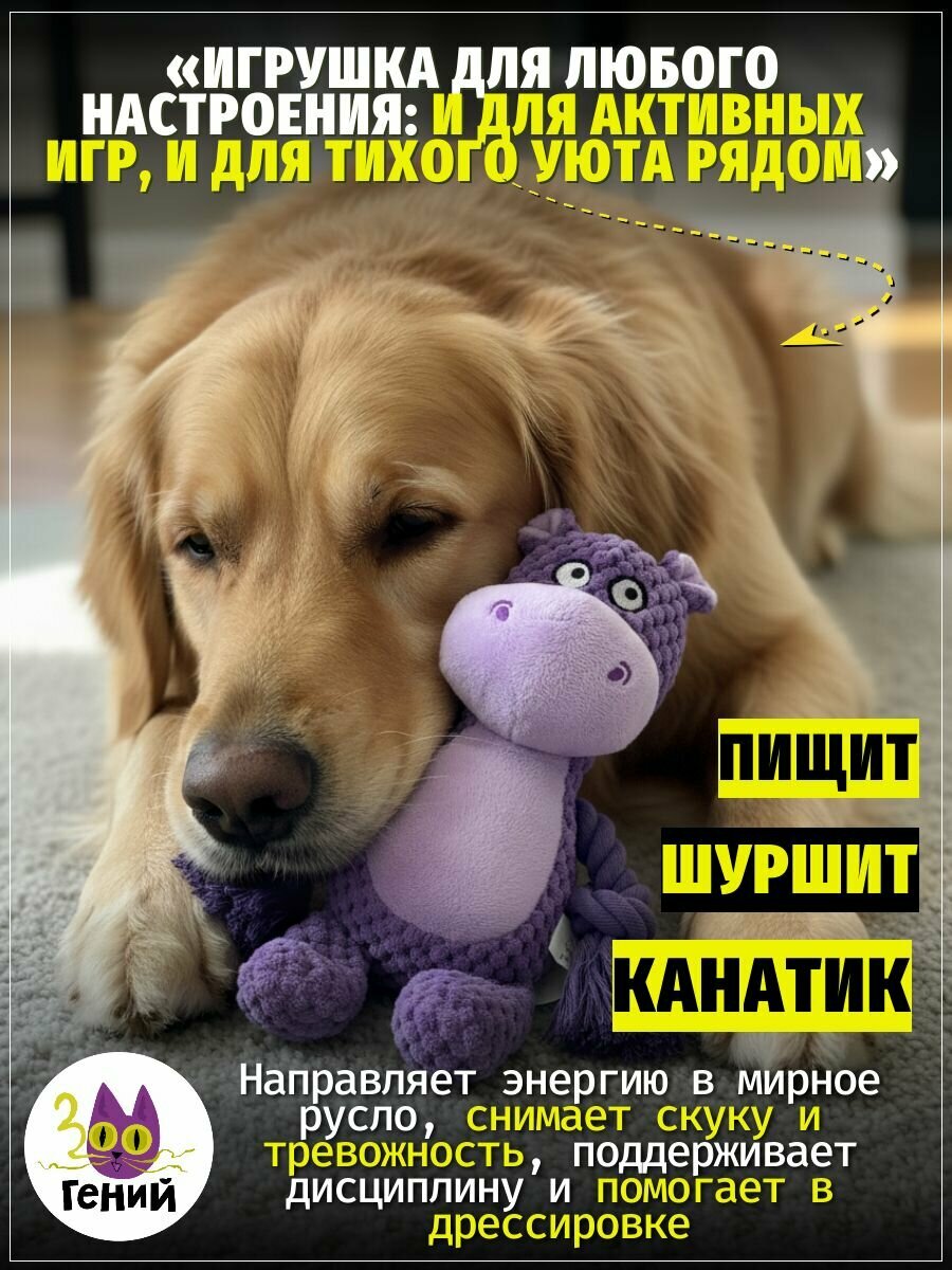 Бегемот интерактивная игрушка с пищалкой и канатами для собак и щенков, жевательная игрушка для ухода за зубами и дрессировки, антистресс-игрушка для активных игр