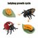 Ladybug Growth Cycle Model C-4pcs