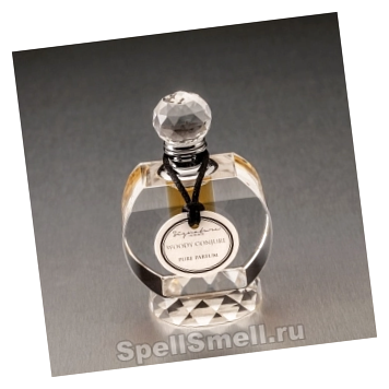 Духи Signature Fragrances Woody Conjure для мужчин 100 мл - Вуди Конжер