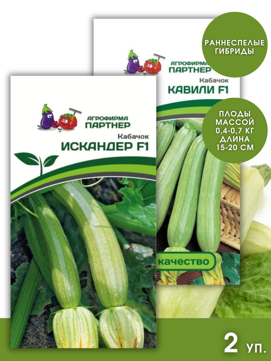 Семена кабачка Искандер и Кавили